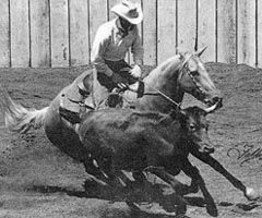 Ray Hackworth | National Reined Cow Horse Association