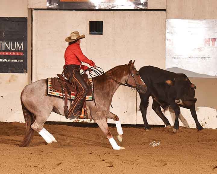 NRCHA Formalizes Box-Drive Class Beginning in 2022 | National Reined ...